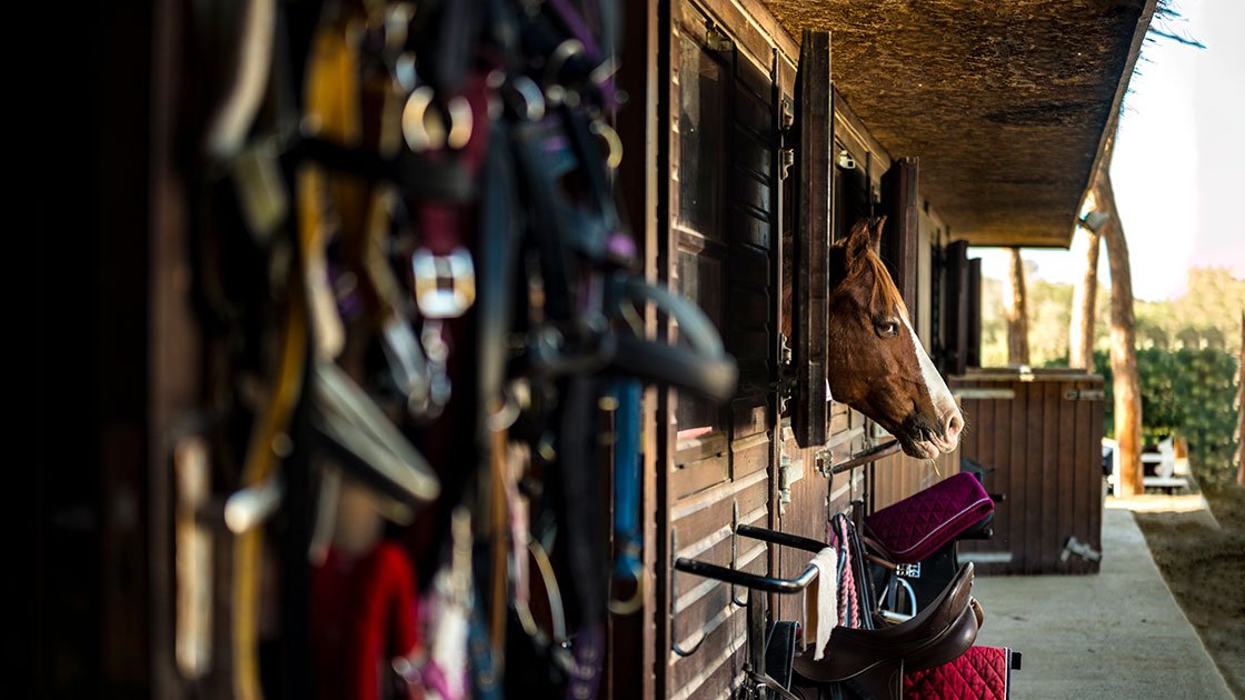 Horse Riding Paphos, Cyprus | Aphrodite Hills